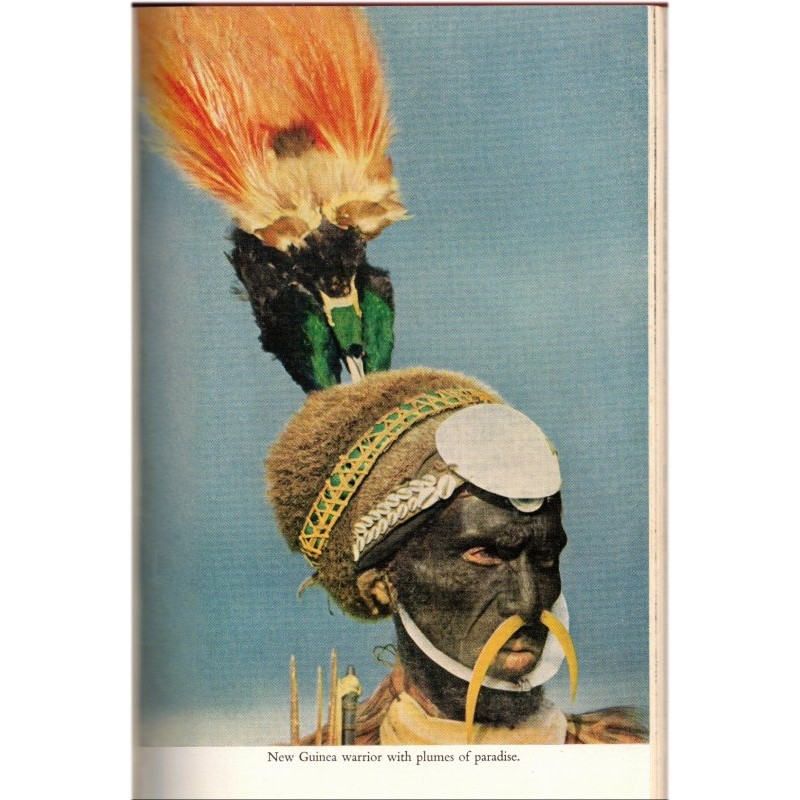 Leopard in my lap, Michaela Denis, 1955 - wild animals, animaux ...