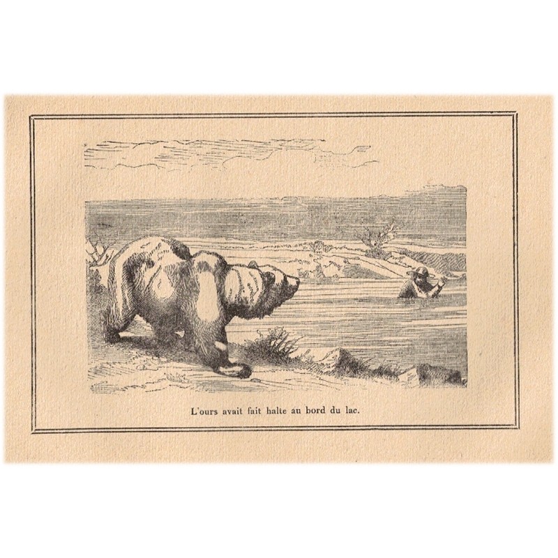 Le cheval blanc de la prairie, Mayne-Reid - animaux sauvages, Far West ...