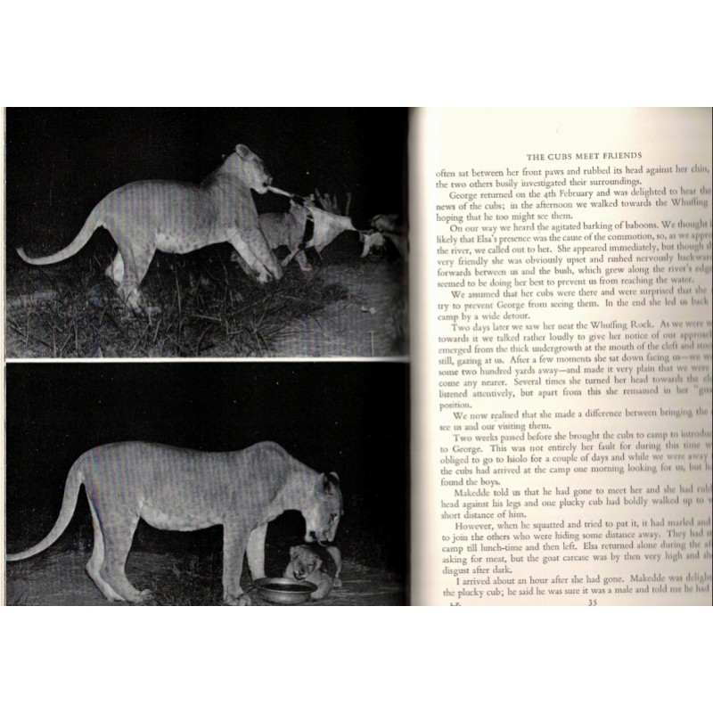 Living free, the story of Elsa and her cubs, Joy Adamson, 1961 - wild ...