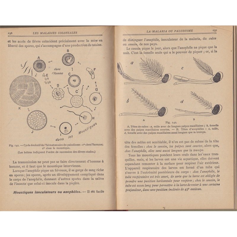 Anatomie et physiologie humaines, microbiologie, hygiène, classe 3e ...